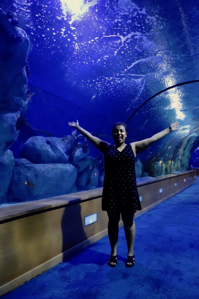The Ultimate Valencia Travel Guide: 20+ Awesome Things to Do in ...